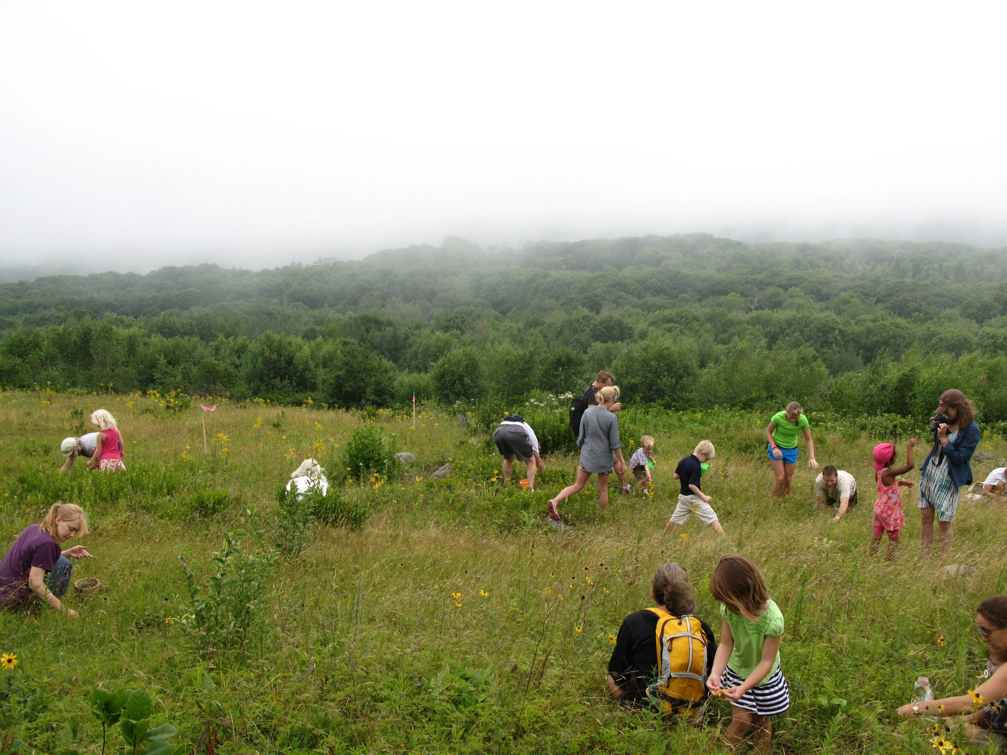 Community Engagement – Coastal Mountains Land Trust