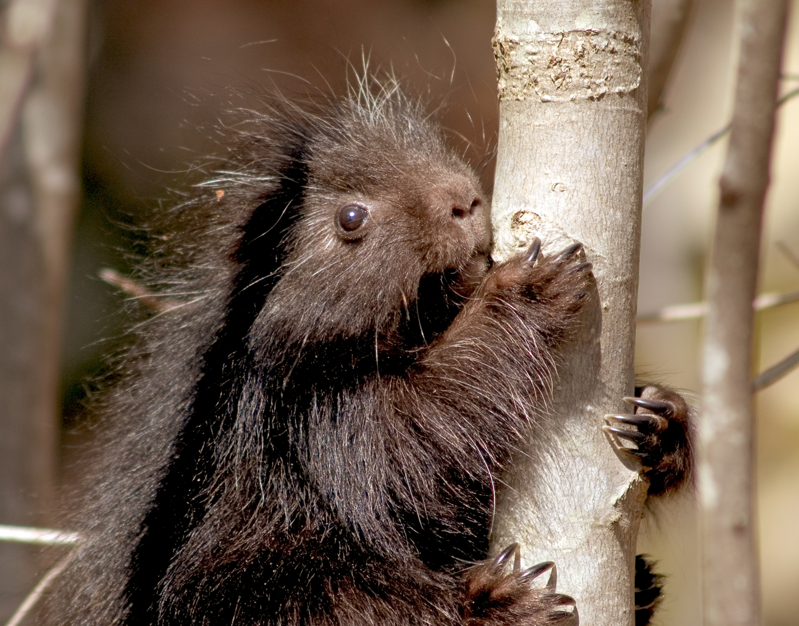 What We Protect – Coastal Mountains Land Trust