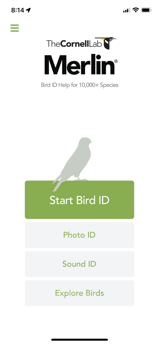 Bird Song Identification with the Merlin App – Coastal Mountains Land Trust
