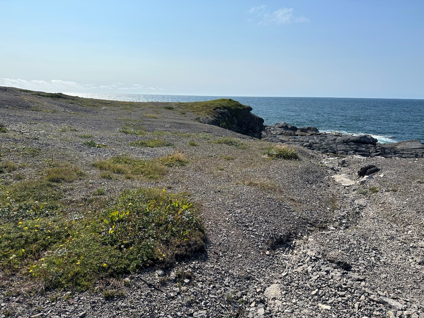 News – Coastal Mountains Land Trust