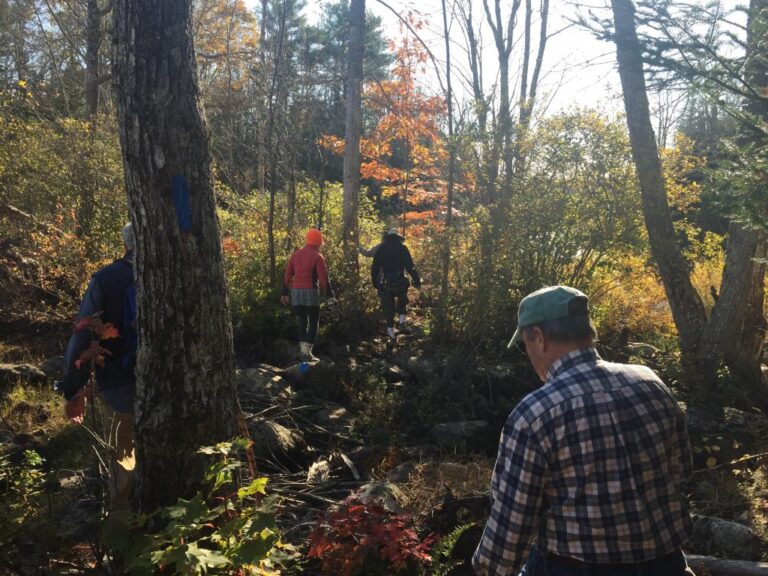Wednesday Waldo Walk: Meadow Brook Preserve – Coastal Mountains Land Trust